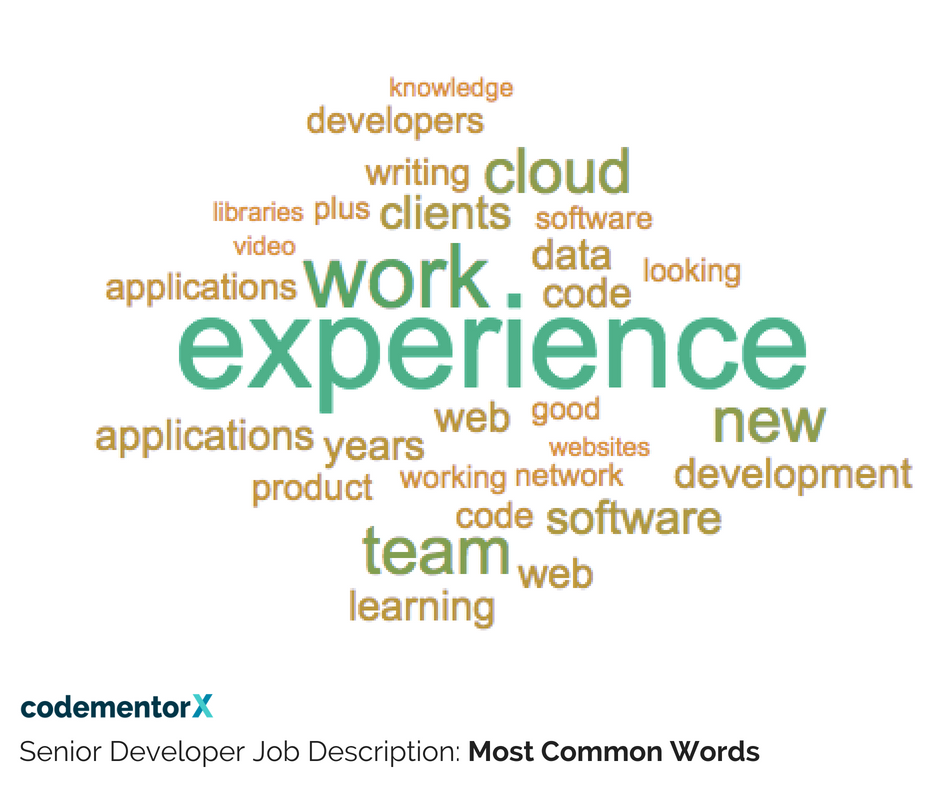 We Analyzed 7832 Words from Software Engineer Job Descriptions
